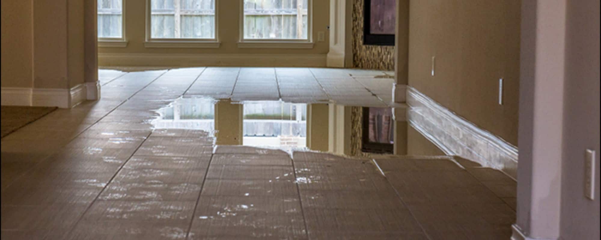 How to Assess Water Damage - Home Stewards